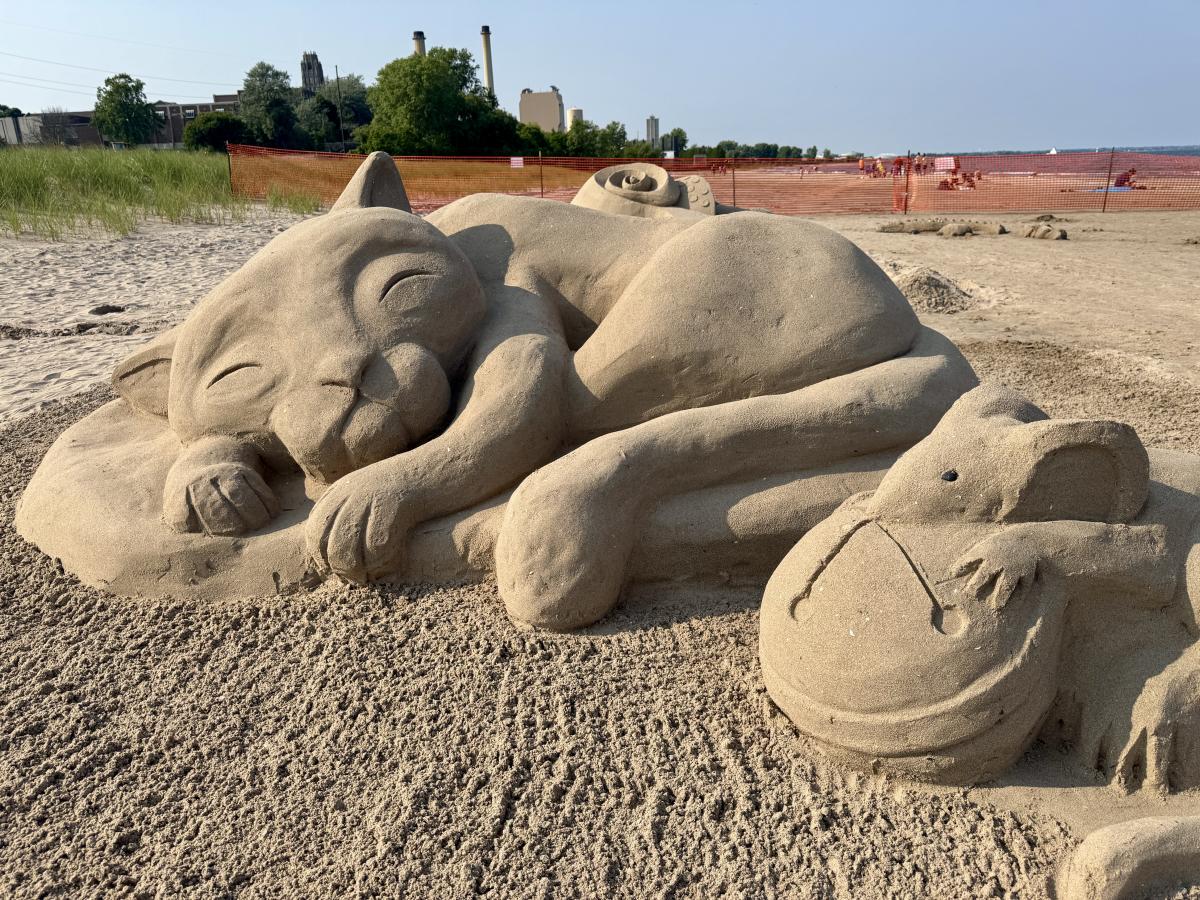 Wisconsin Sand Sculpting Festival