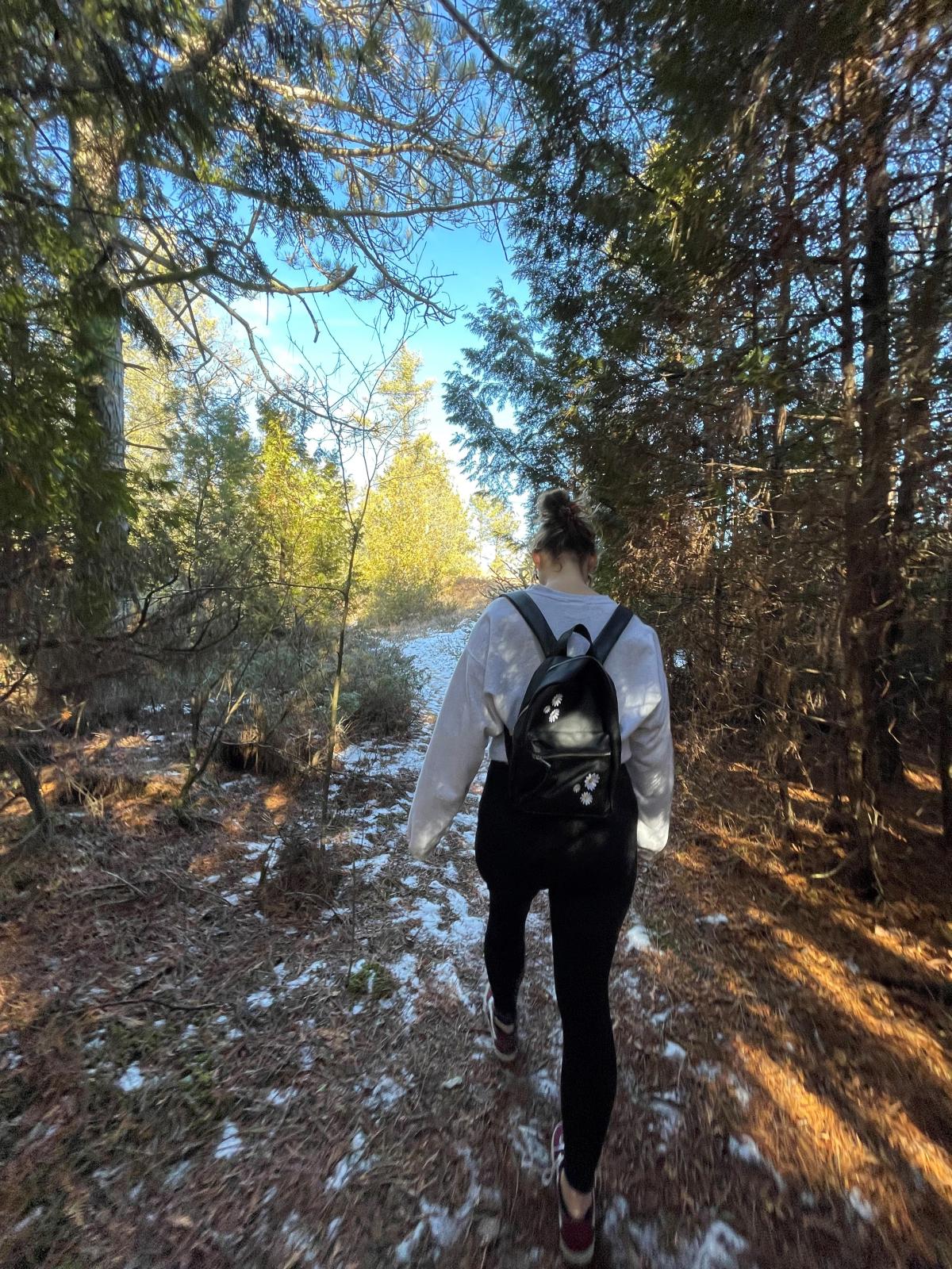 Point Beach State Forest