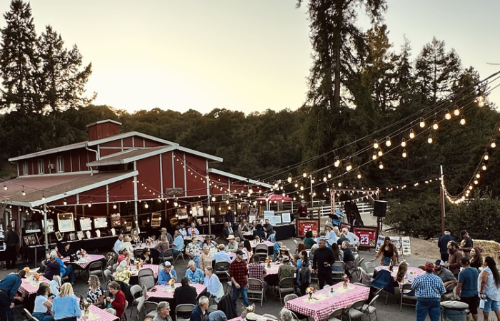 Things to Do This Weekend in Monterey | See Monterey County, CA
