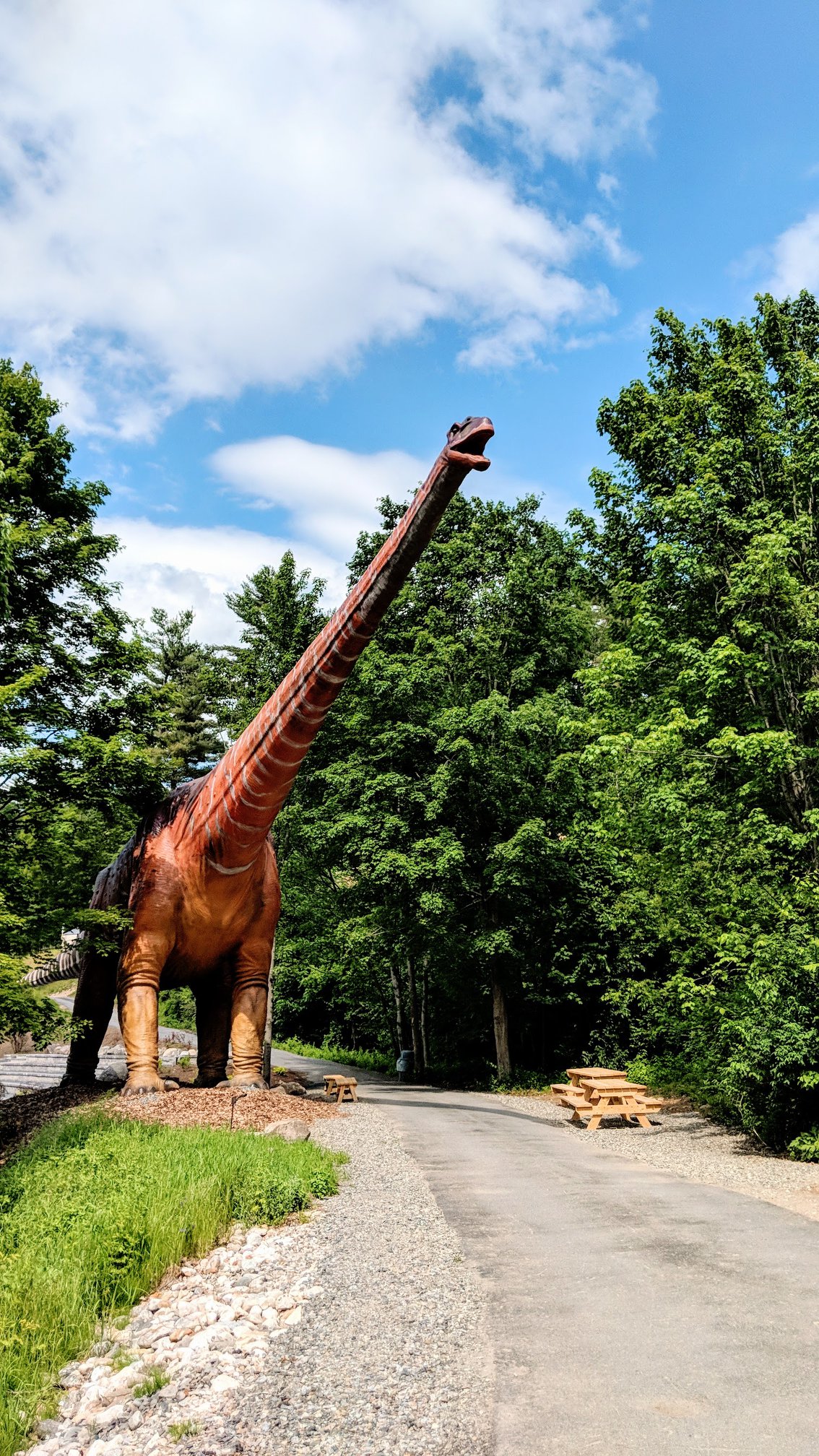Rawr Dinosaur Park