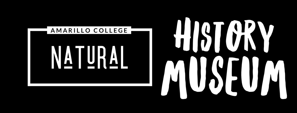 Natural History Museum Logo
