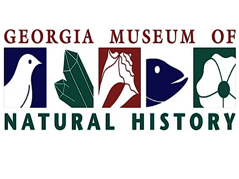 Natural History Museum Logo Png