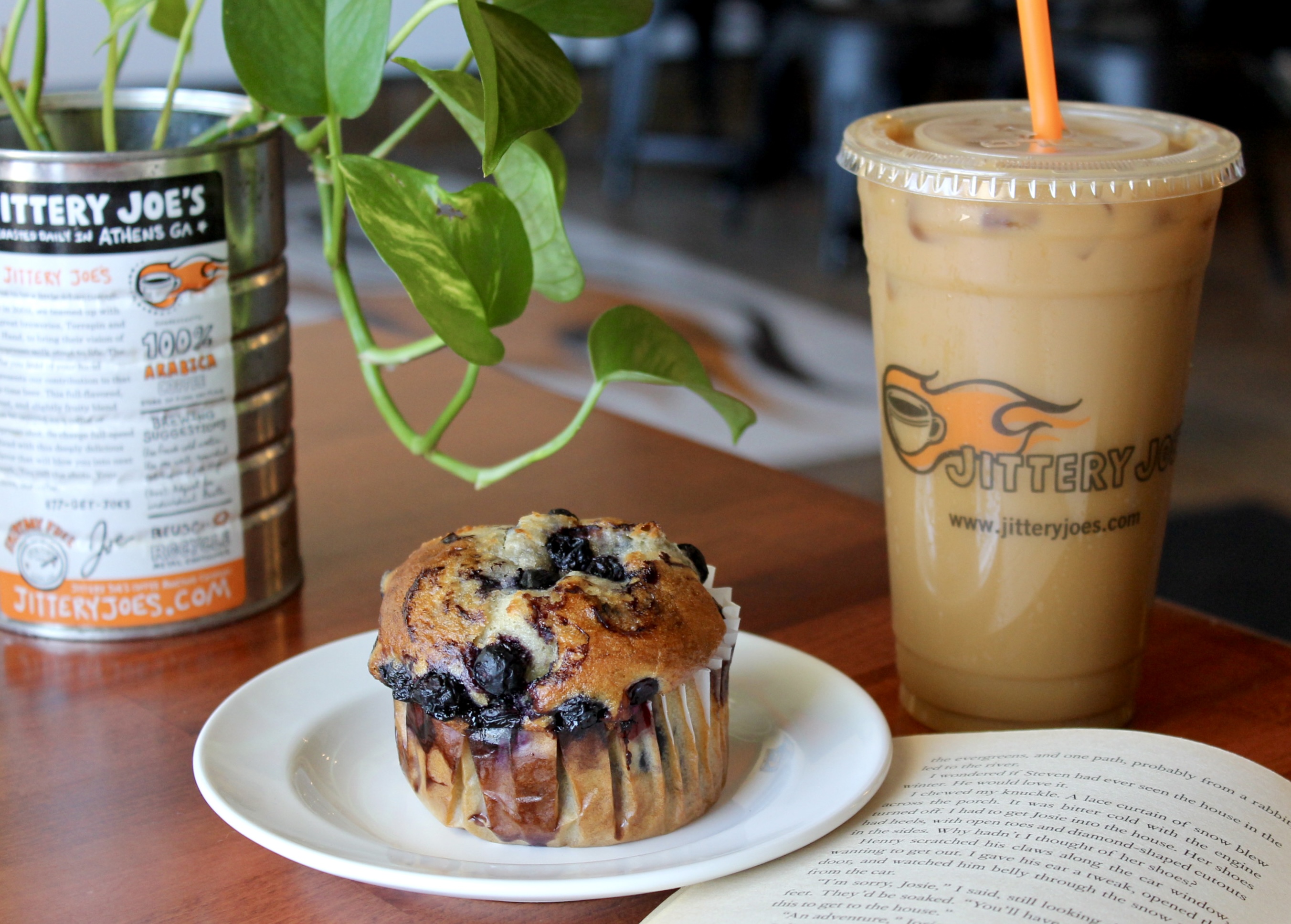 Jittery Joes Logo Jittery Joe's Coffee Roasting Company