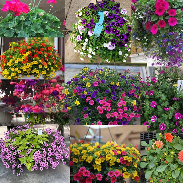 Shady Tree Farm Market in Beloit WI