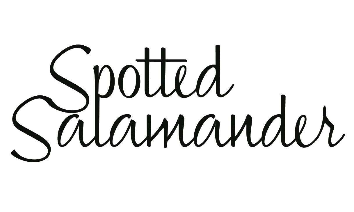 Spotted Salamander Columbia Shop | emergencydentistry.com