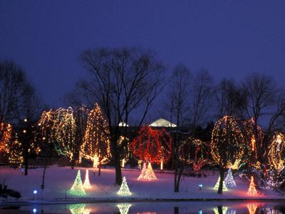 Columbus Zoo Wildlights Schedule | Shelly Lighting