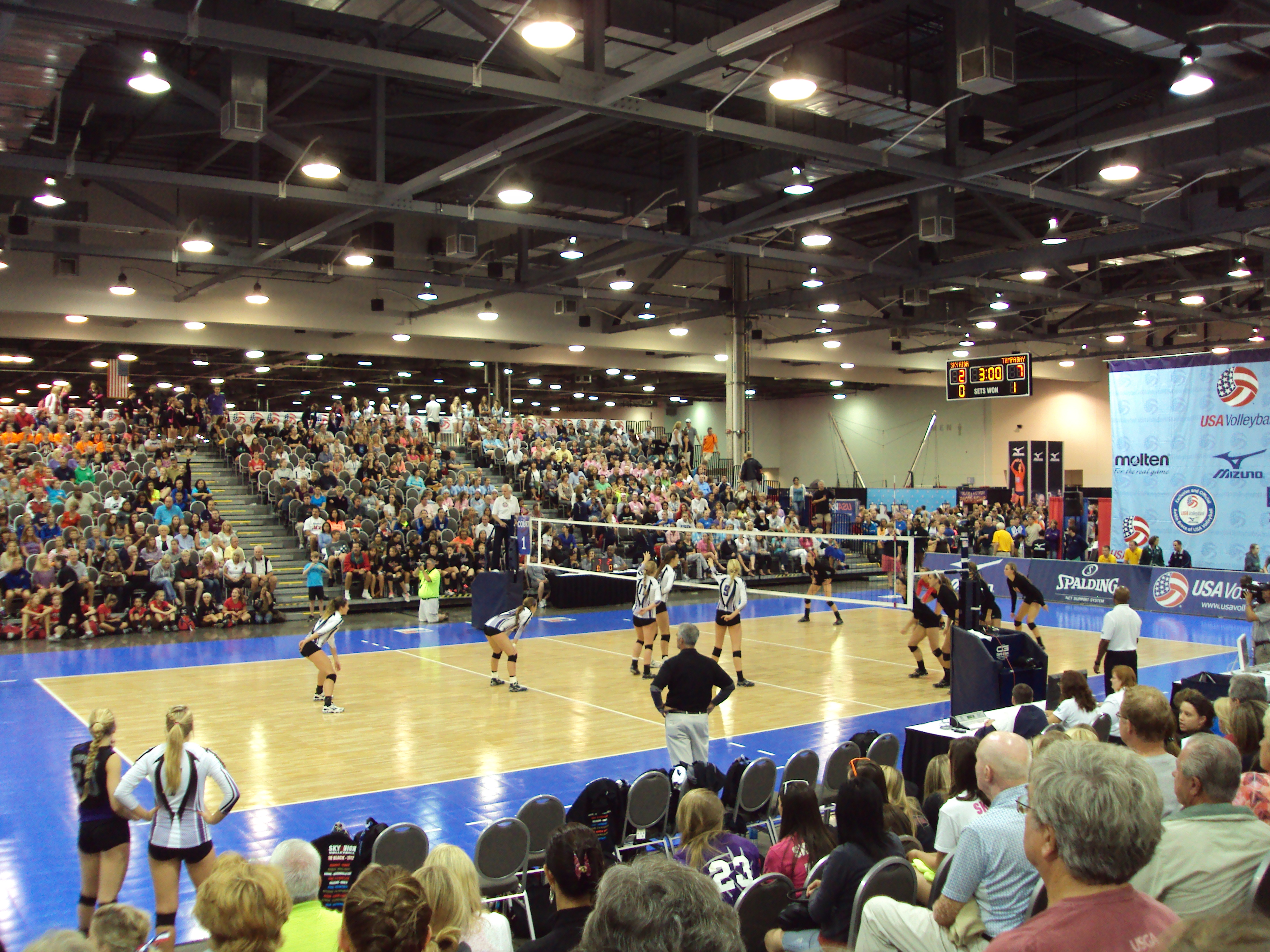 Ovr volleyball store
