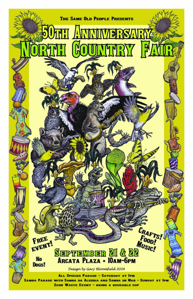 County Fair Poster Ideas