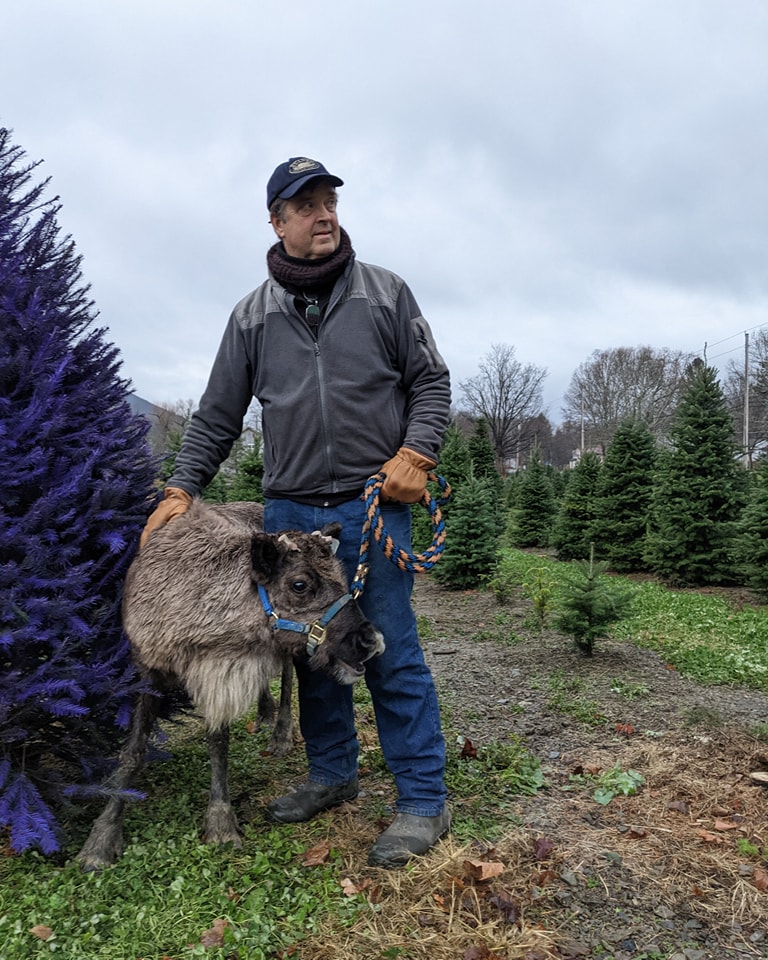 Naples Tree Farm