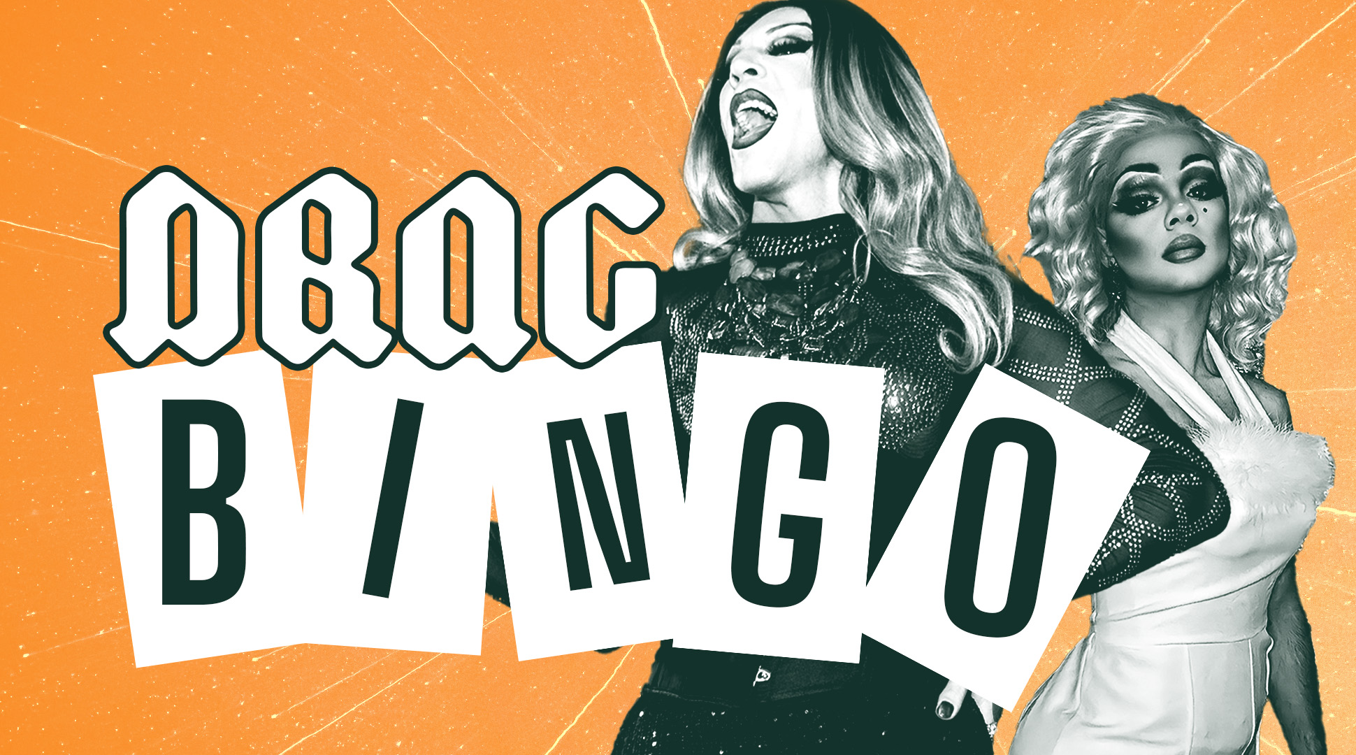 Whats on - Drag Queen Music Bingo at Davistown RSL Club - verloop.io