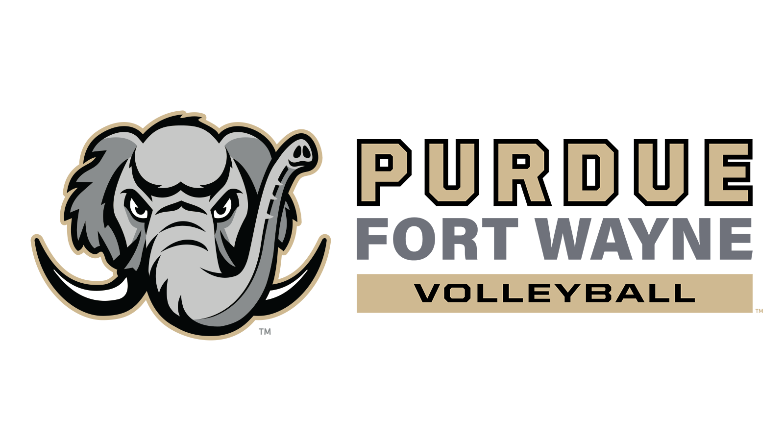 Pfw Logo