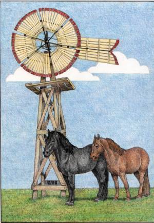 Animal Farm Windmill