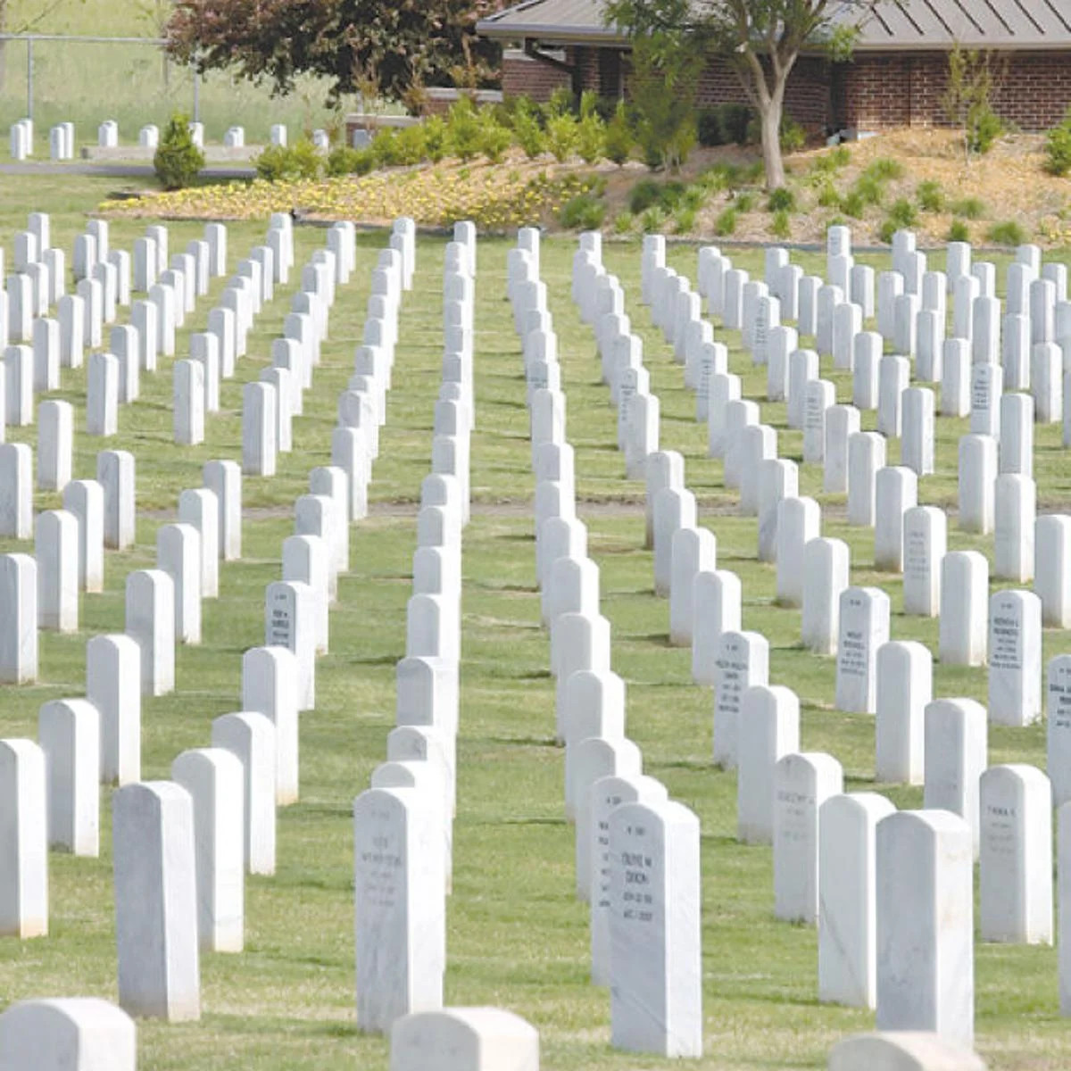 Fort Gibson National Cemetery Flags Memorial Day Star