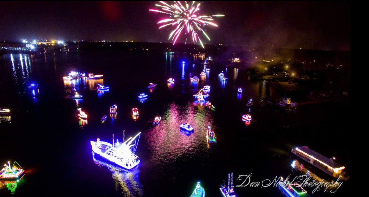 Christmas Lights On The Bayou