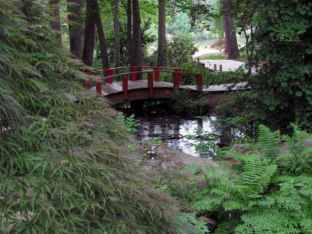 Vines Garden Loganville Georgia 2015 Garden Tour Garden Descriptions