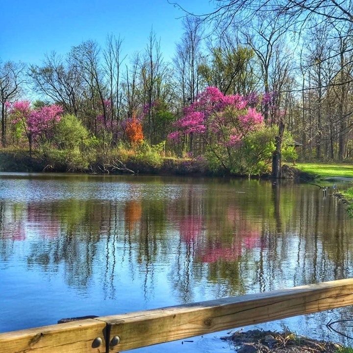 Fort Harrison State Park