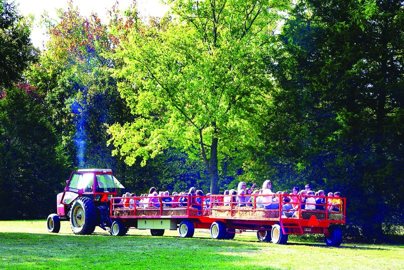 Hayride Wagon Plans