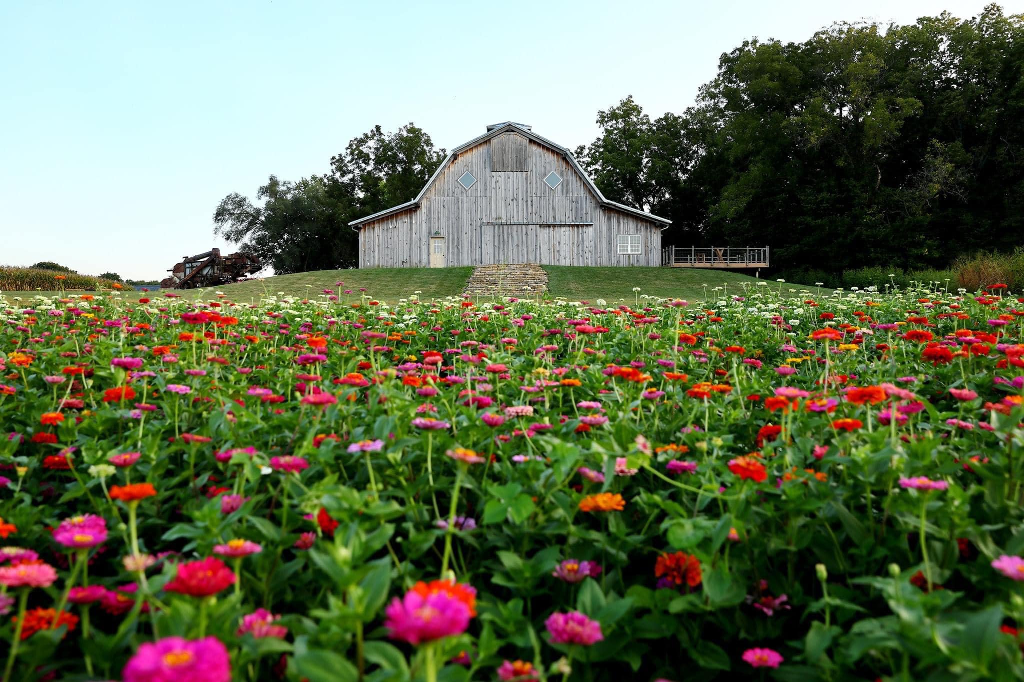 Schwinn Produce Farm Wedding