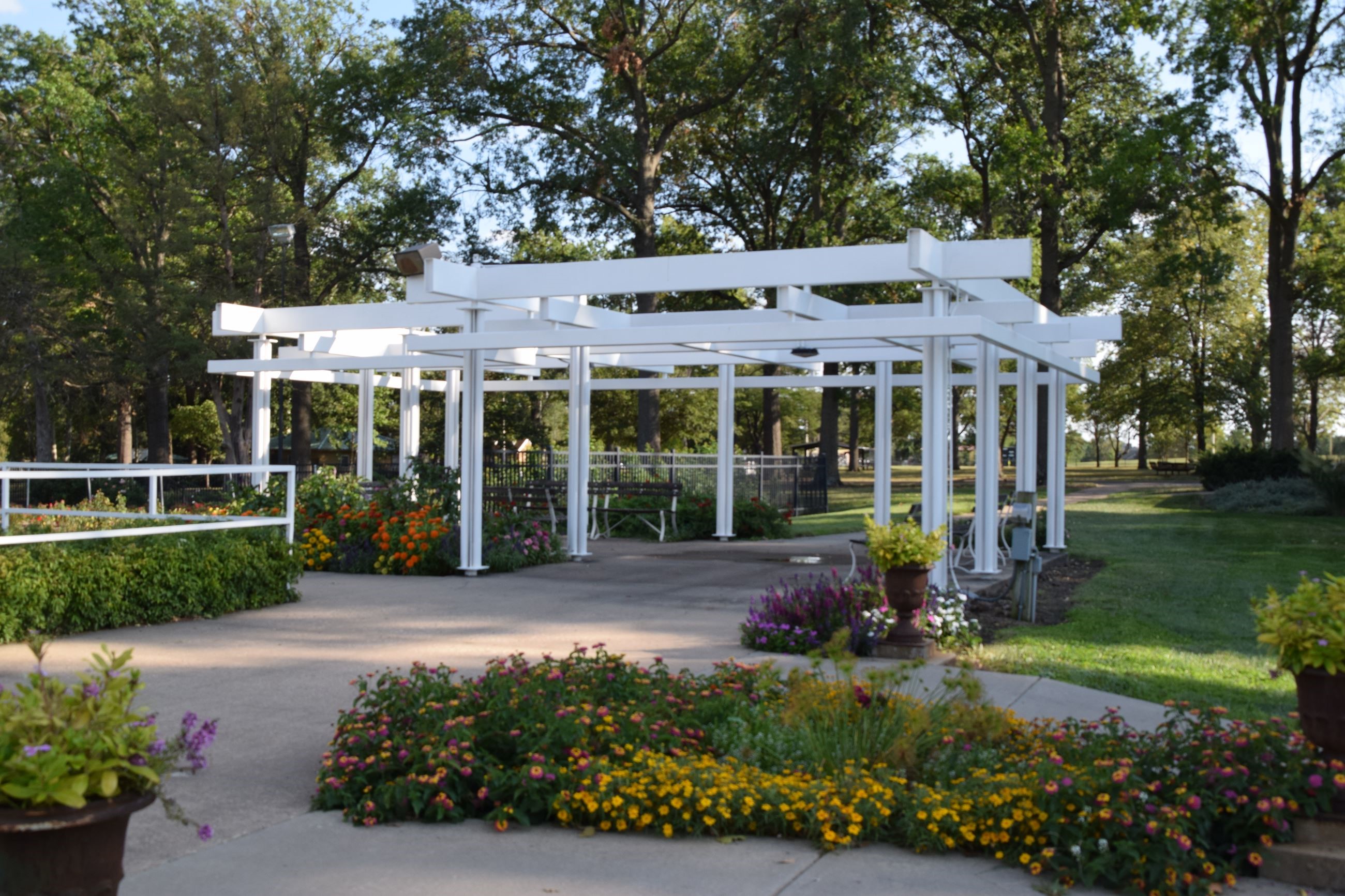 Rose Garden Kansas City 2024 Rose Show Photography Winners — Kansas
