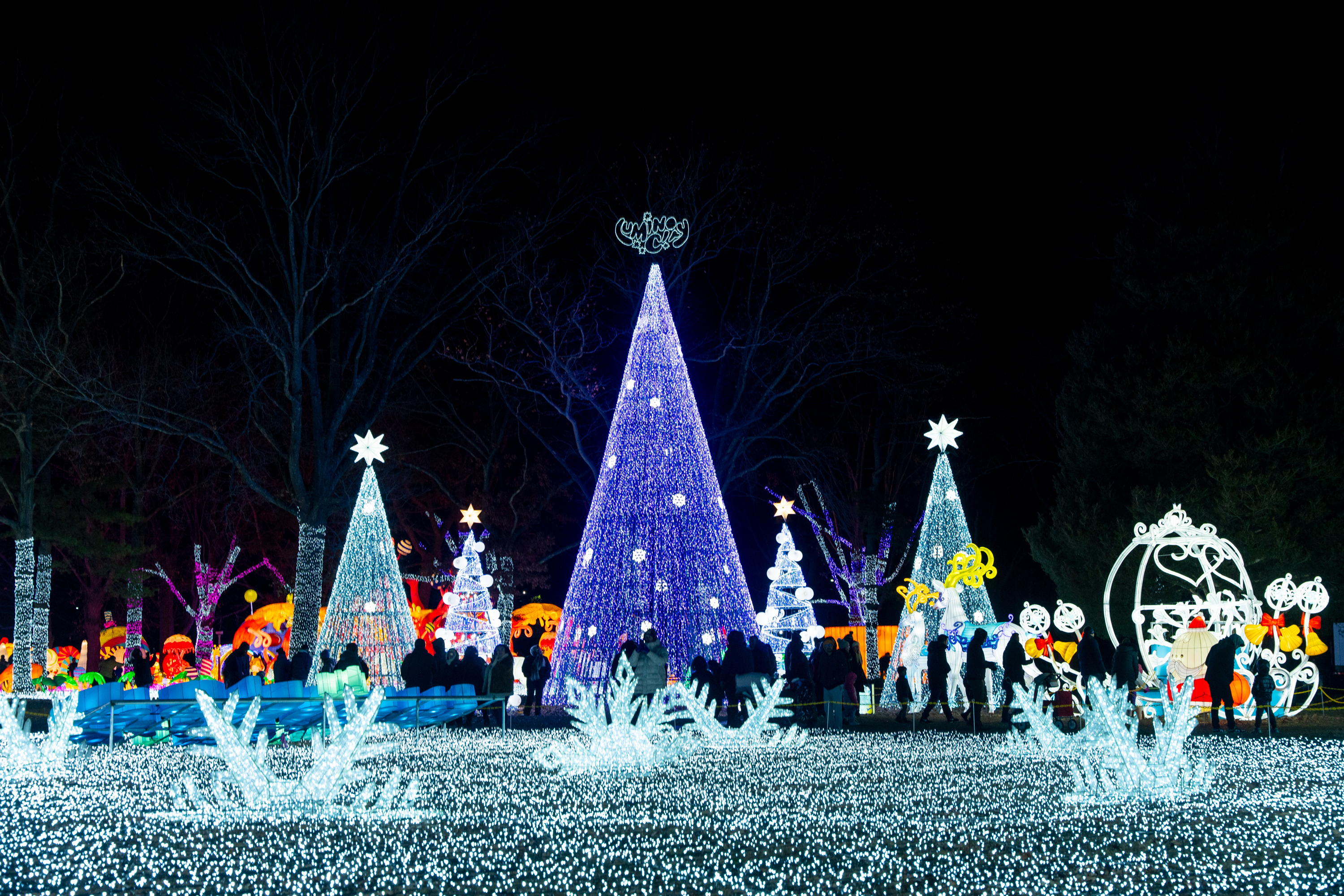 Lullymore Christmas