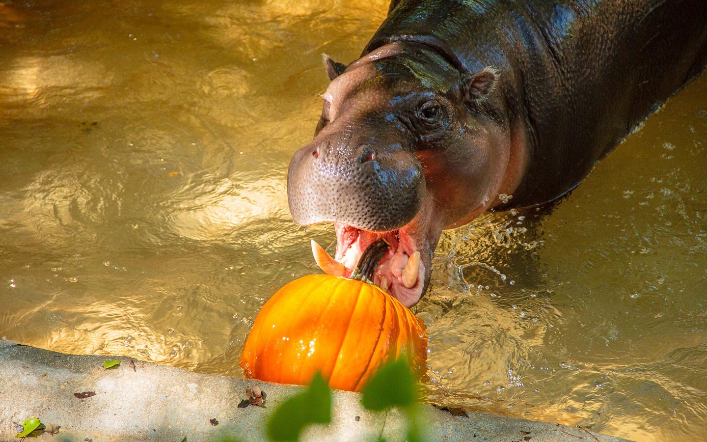 Erkunde Kendall | Großraum Miami & Miami Beach