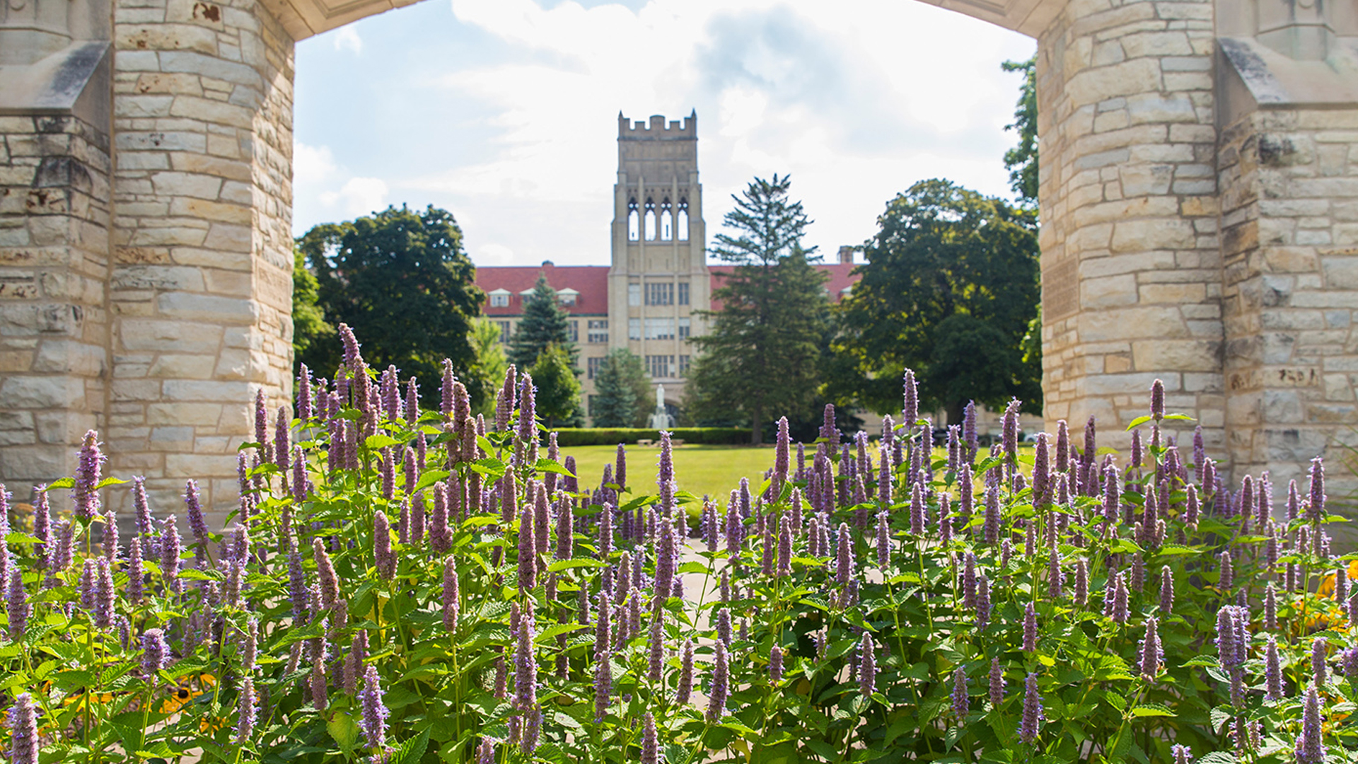 Mount Mary University Logo