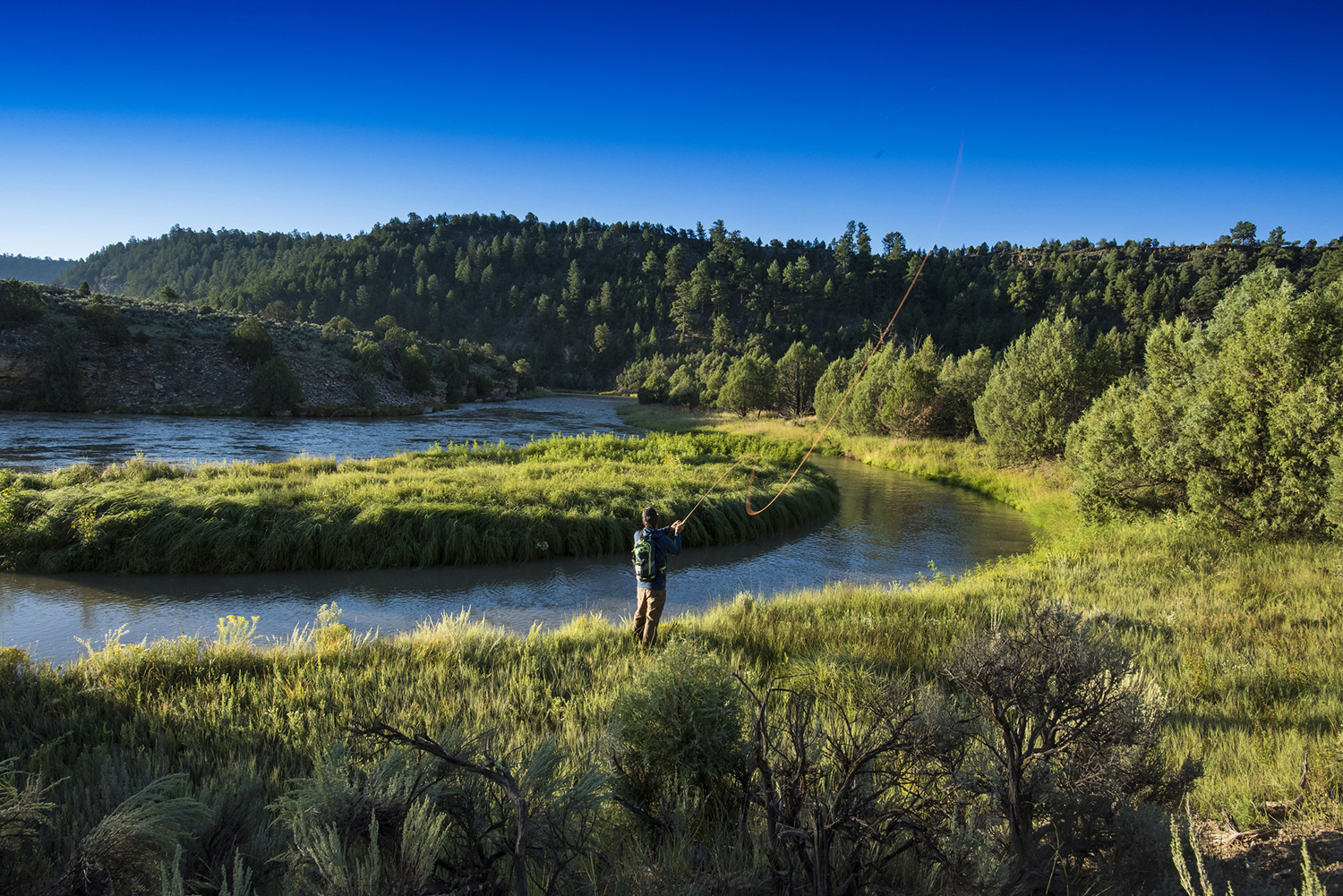 Southern Marsh Background