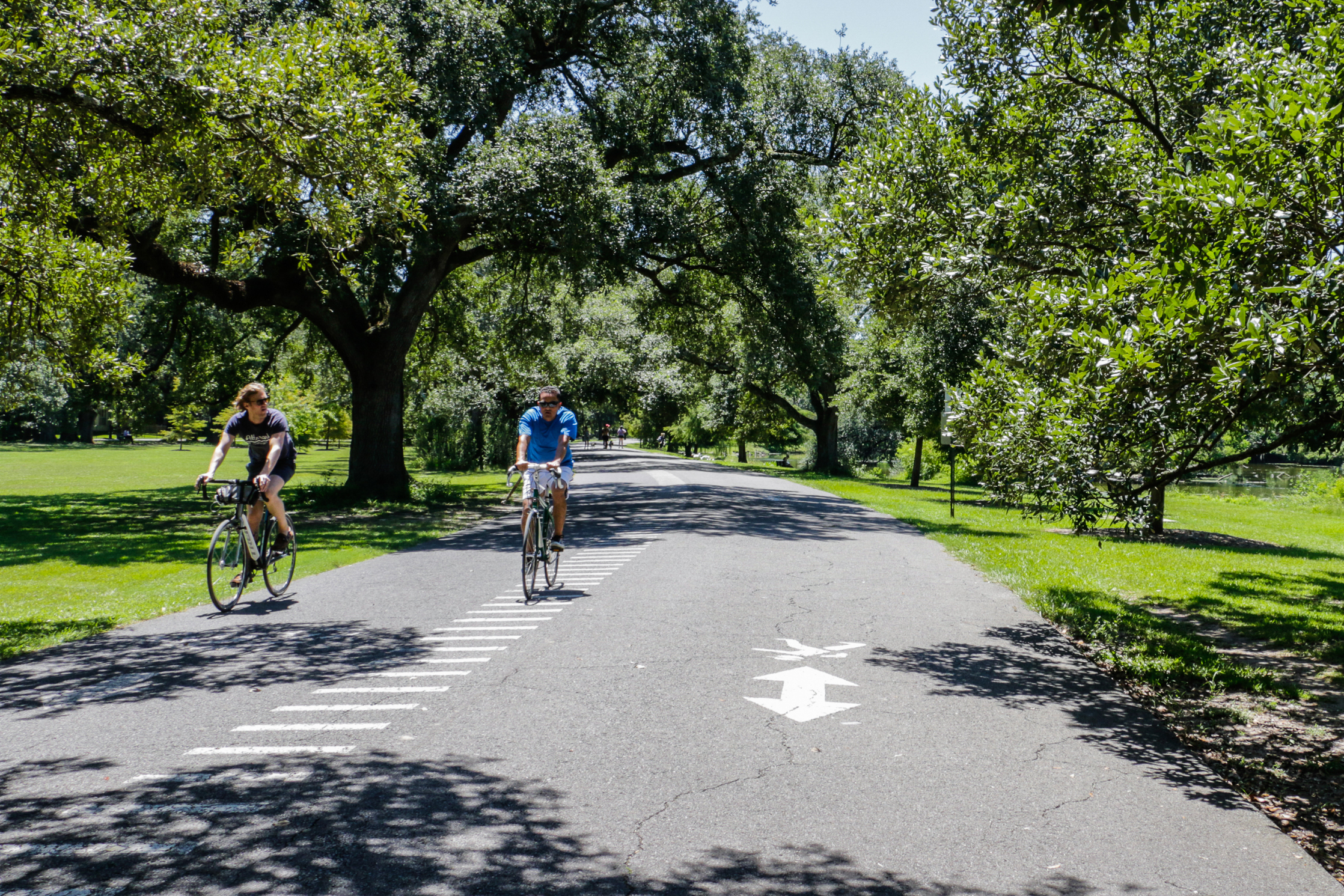 Audubon Park Running Trail Top 10 Running Trails In Memphis | Map