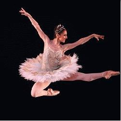 Ballet Arizona Desert Botanical Garden | Fasci Garden