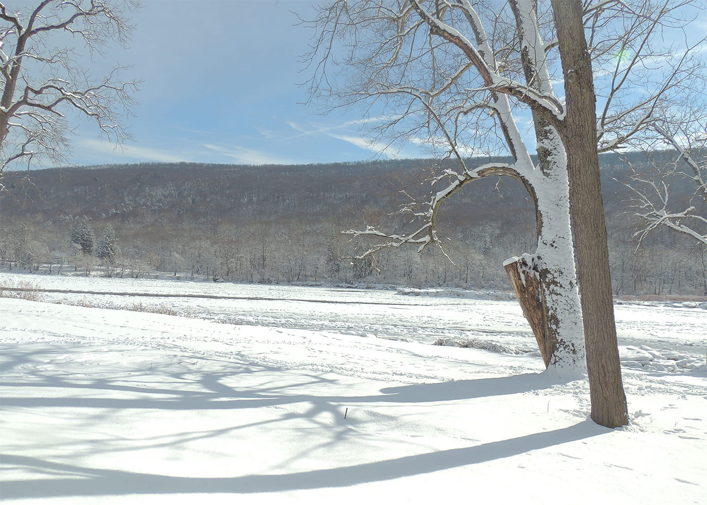 Delaware River Frozen