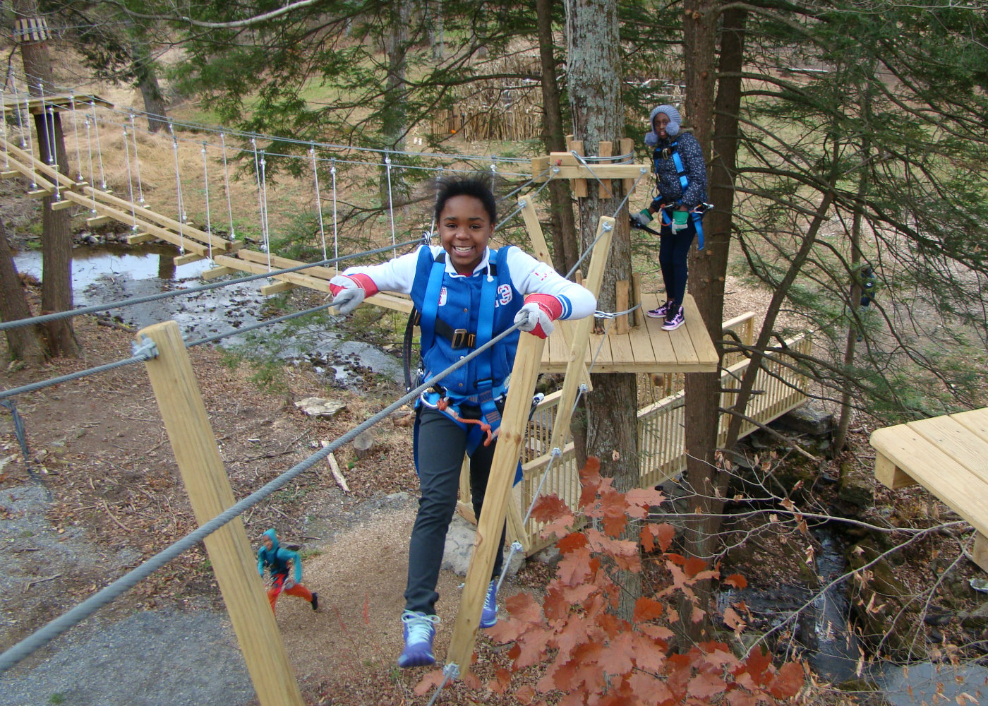 Tree To Tree Adventures