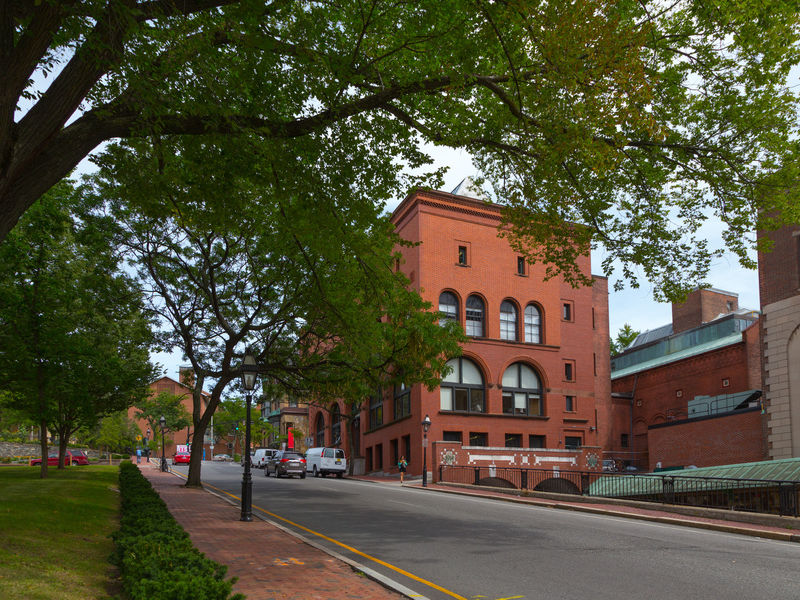 Rhode Island School Of Design Logo