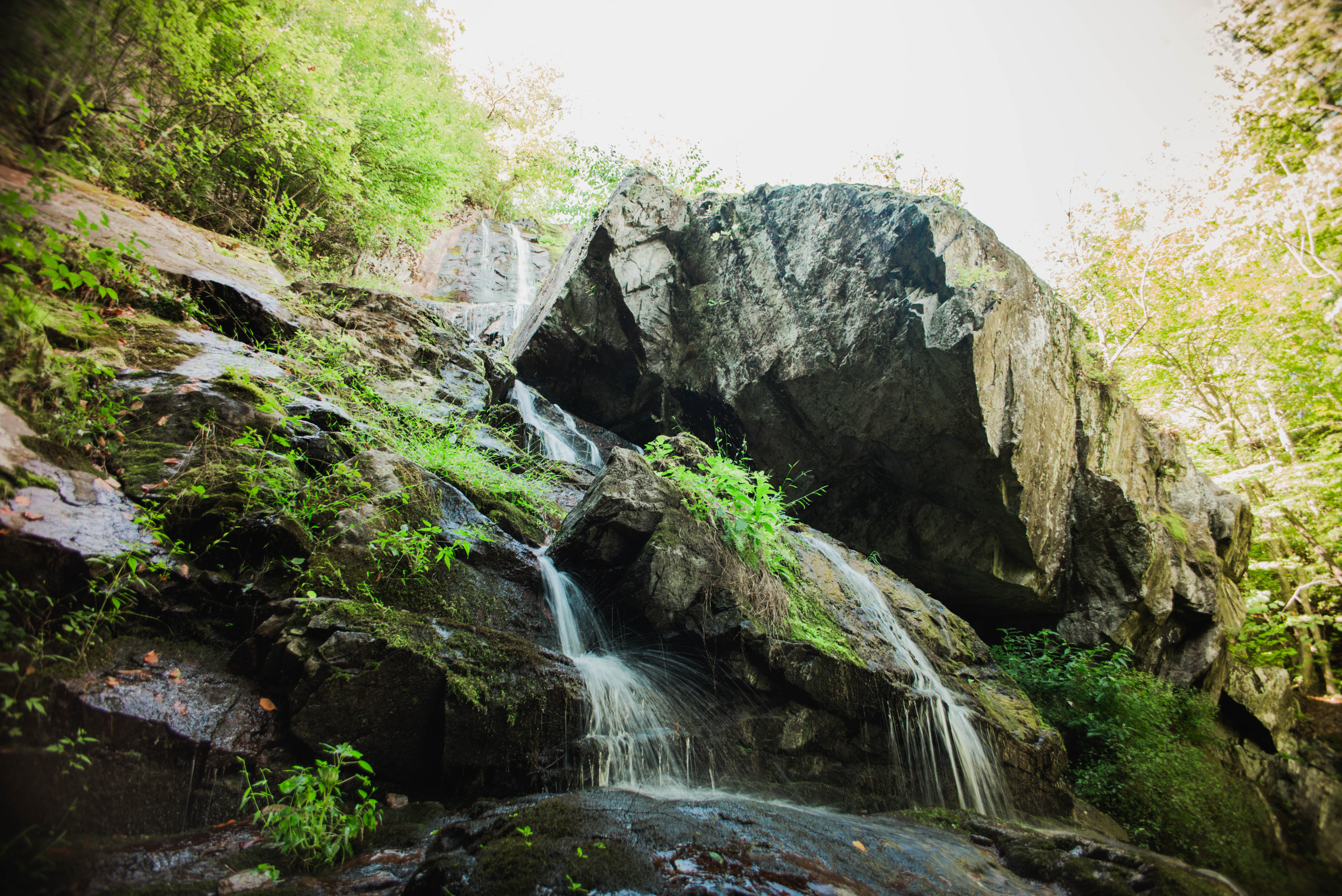 Apple Orchard Falls Blue Ridge Parkway | SUNSET FIELD / APPLE ORCHARD