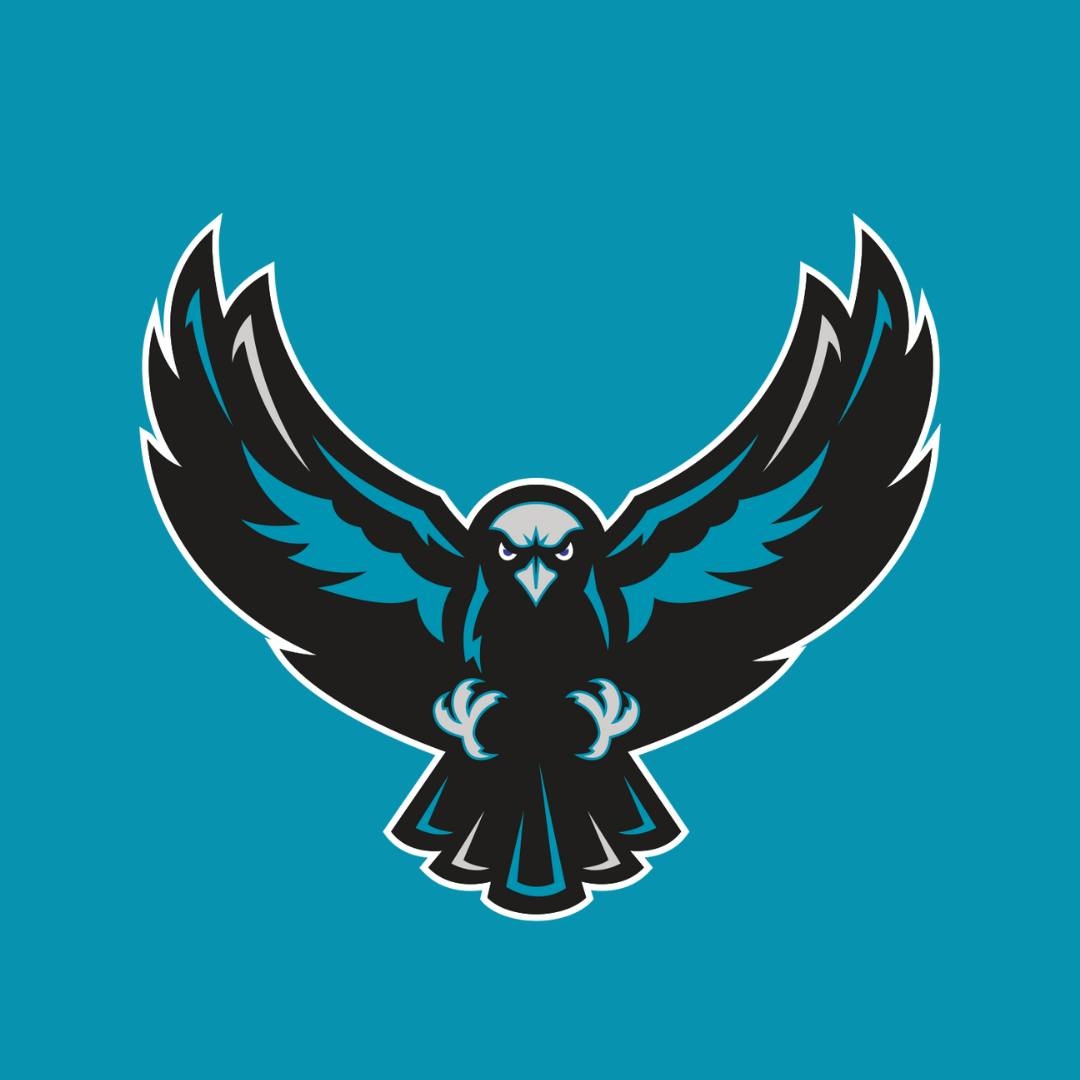 Knight Hawks Logo @KnightHawksIFL's Video Tweet