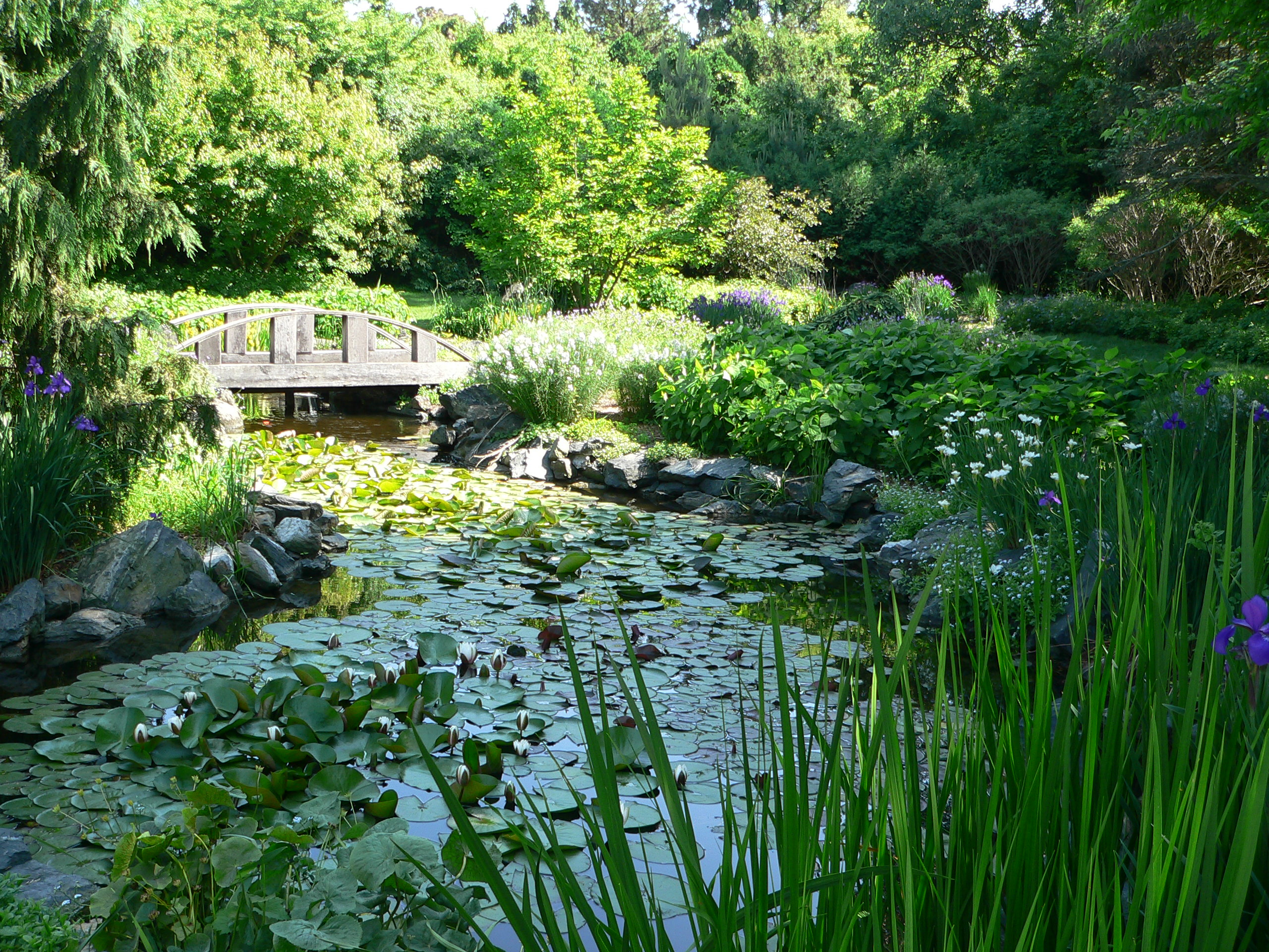 Arboretum & Botanic Garden | Fasci Garden