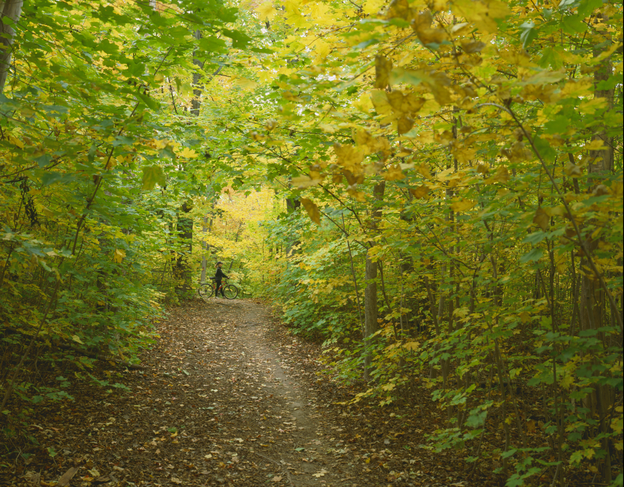 Rock Cut State Park Walking Trails at Ivan Flores blog