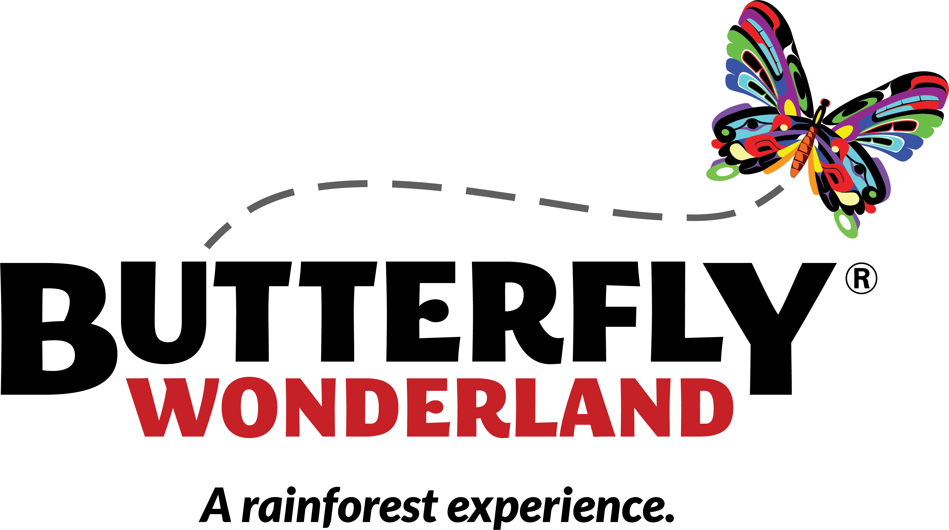 Butterfly Wonderland Wedding