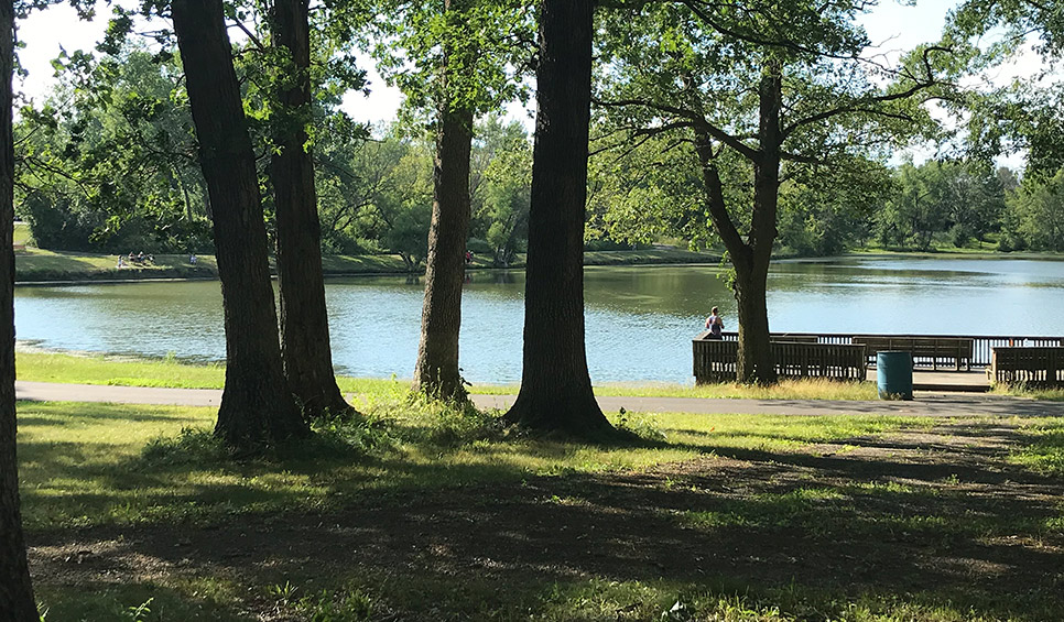 Are Dogs Allowed In Lake County Parks