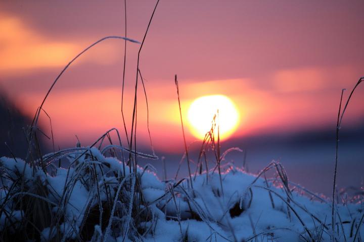 Winter Solstice Translation In Malayalam winter-solstice-translation-in-malayalam