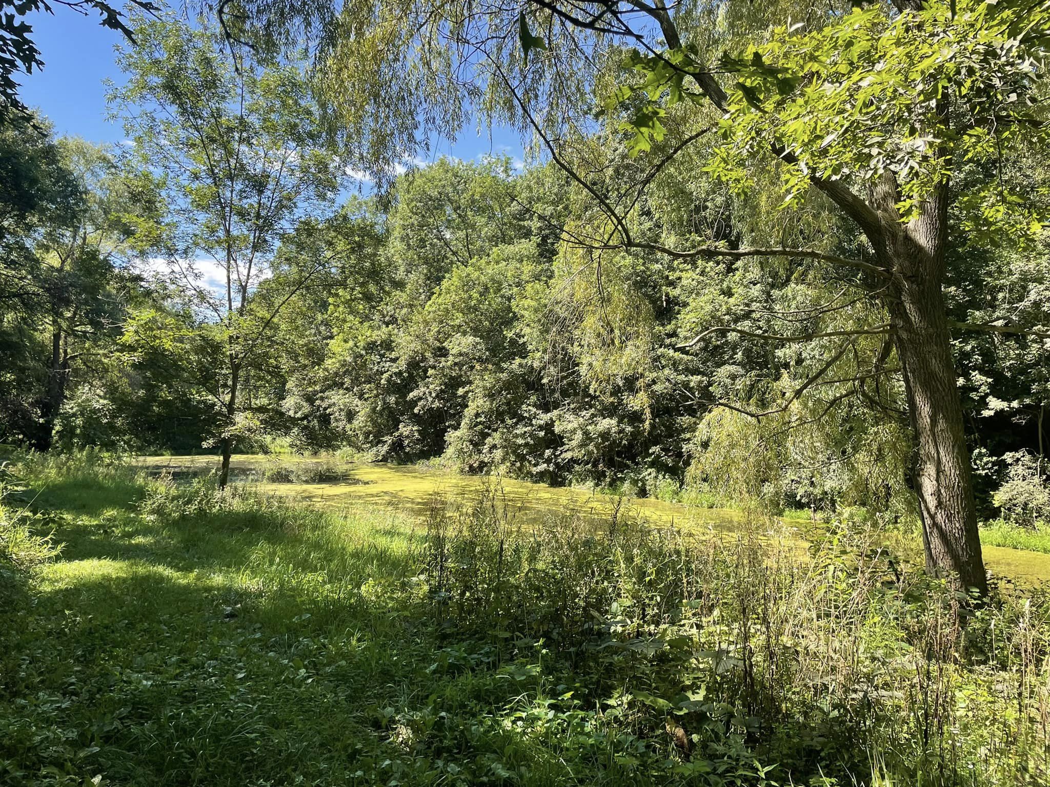 Sanctuary Nature