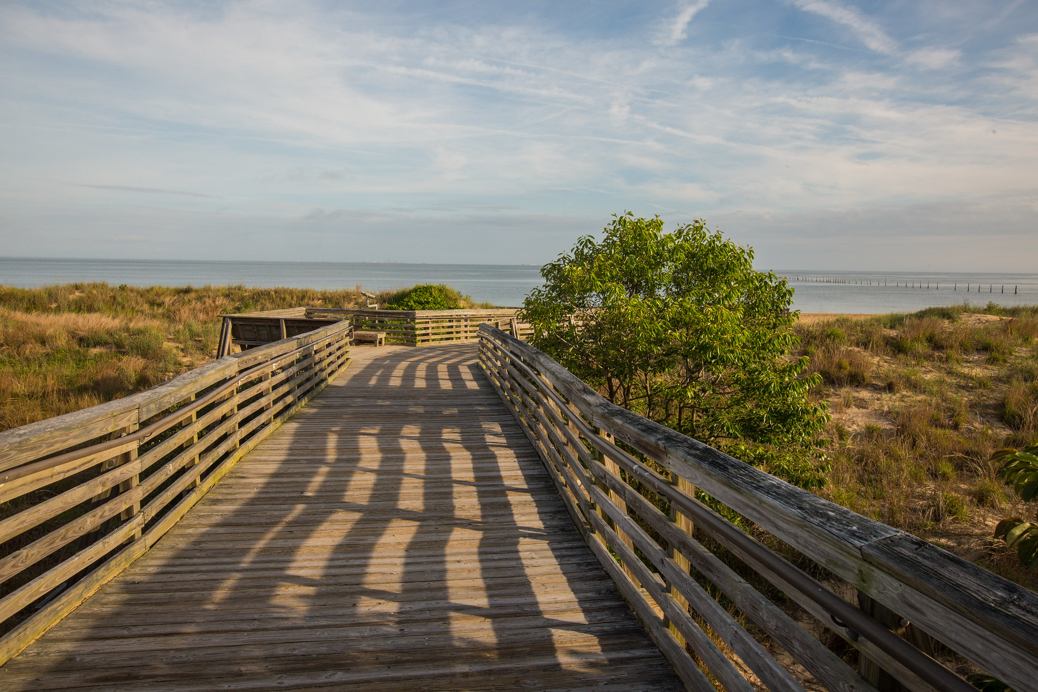 Virginia Beach First Landing State Park 18 First Landing State Park
