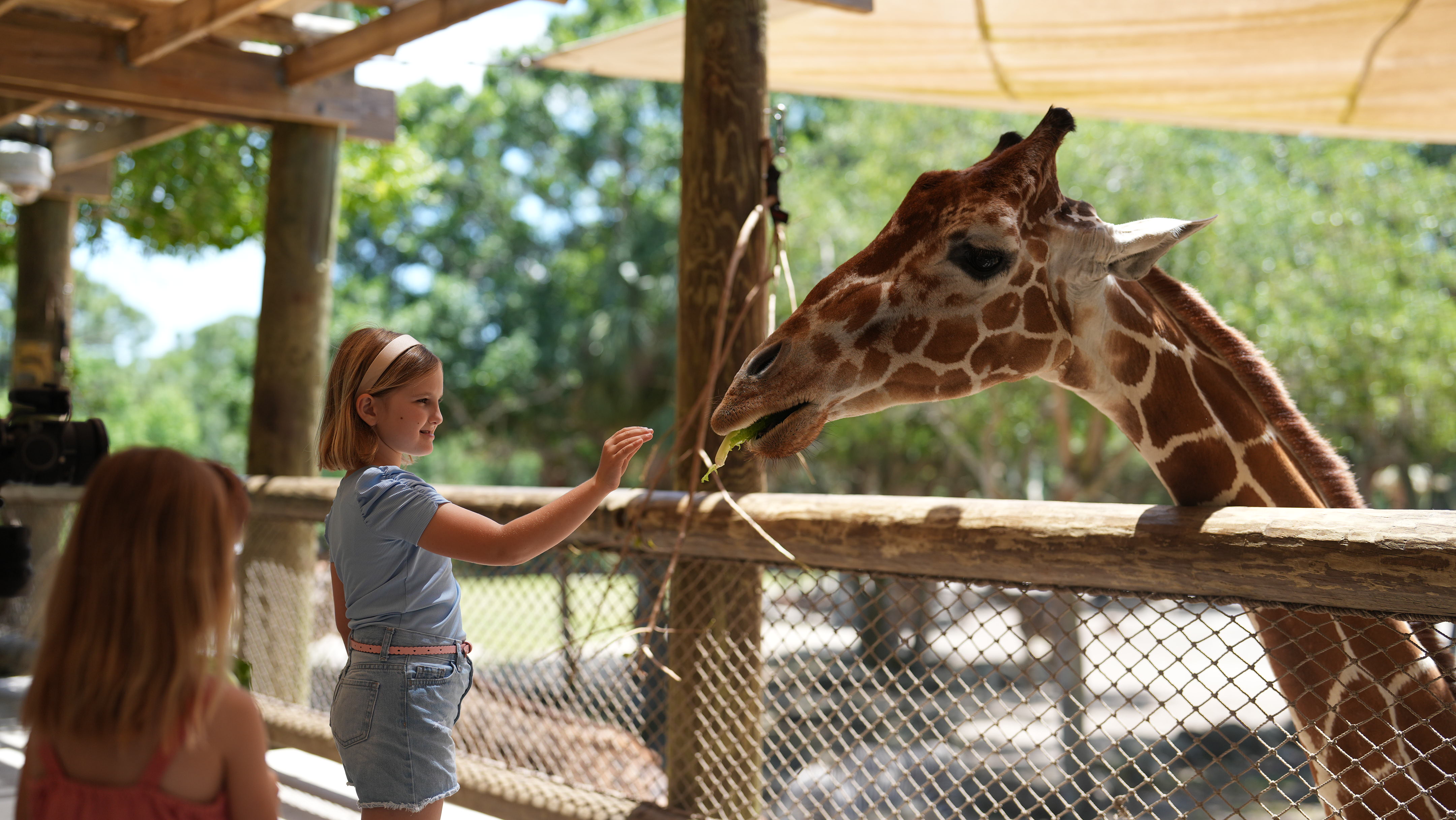 Melbourne Florida Zoo