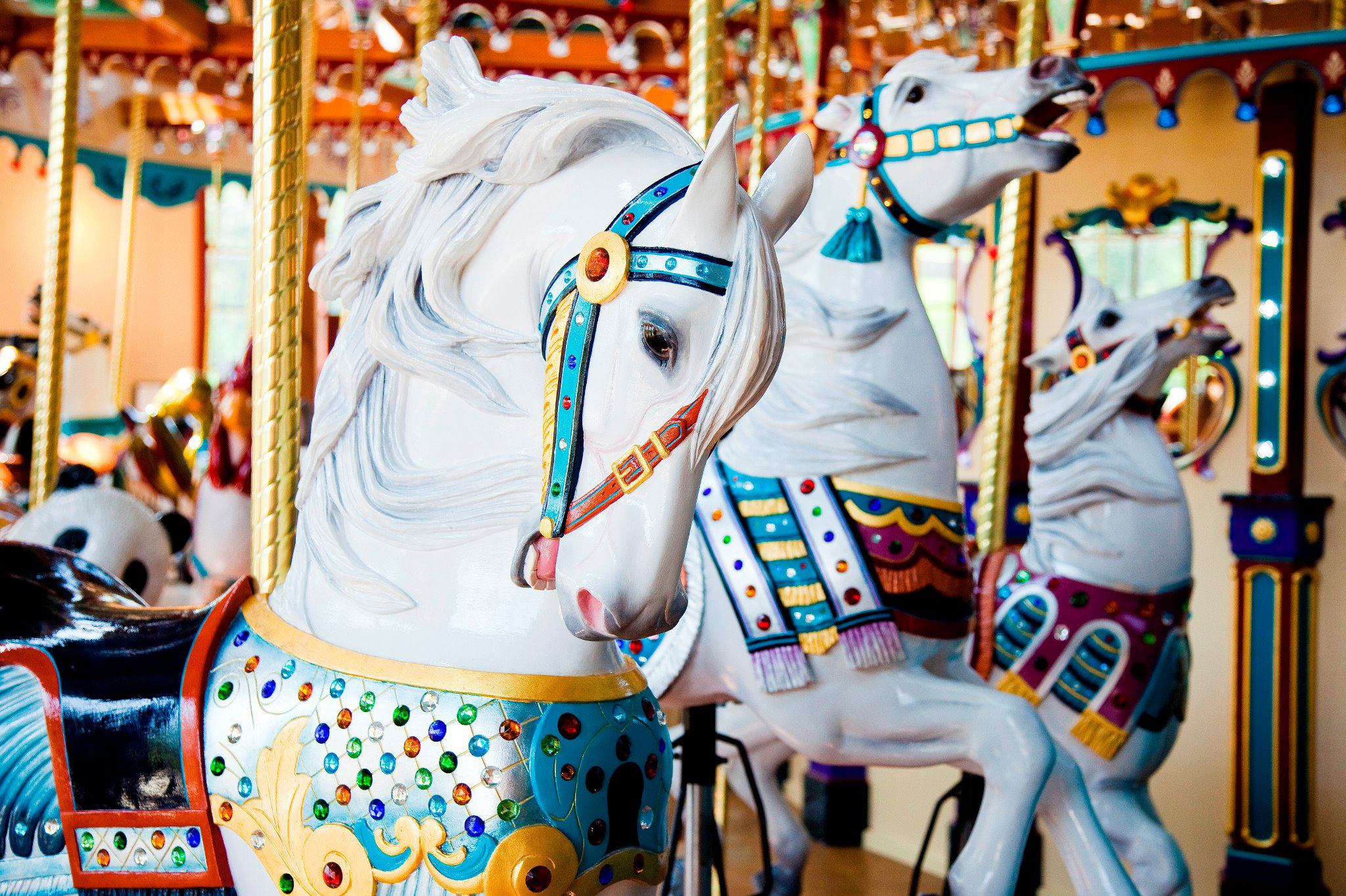 Silver Beach Carousel Wedding Weddings | Shadowland On Silver Beach