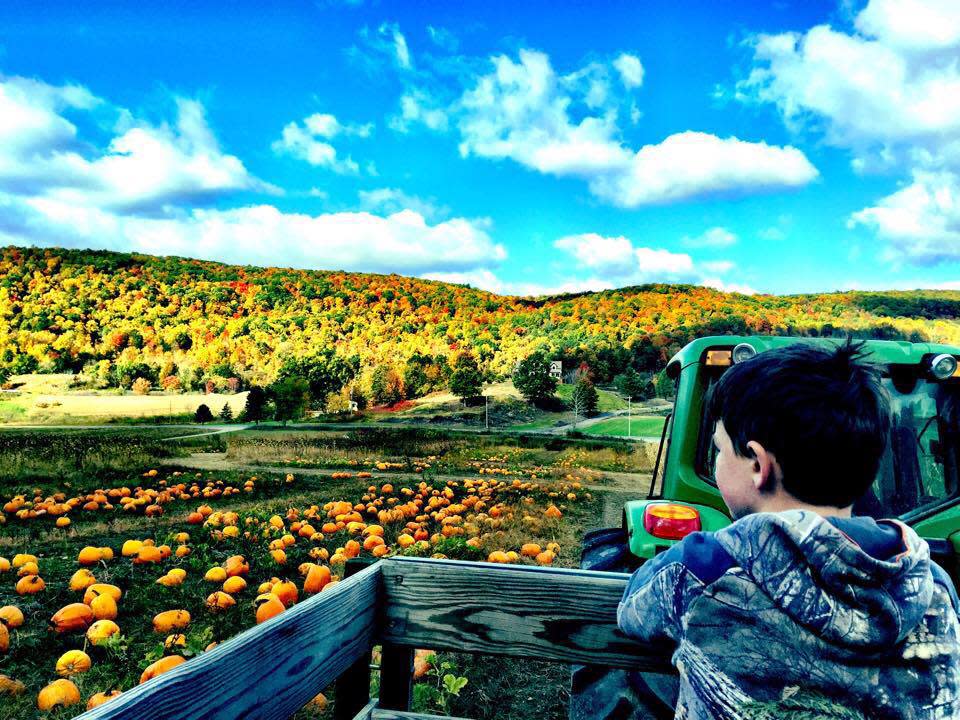 Dykeman Farm | Pawling, NY 12564