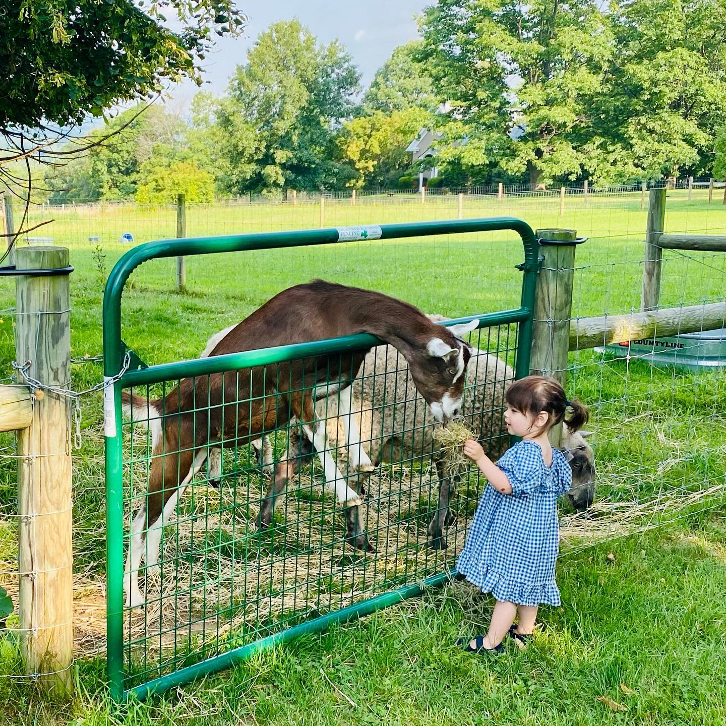 Fall Brook Farms | Mount Morris, NY 14510