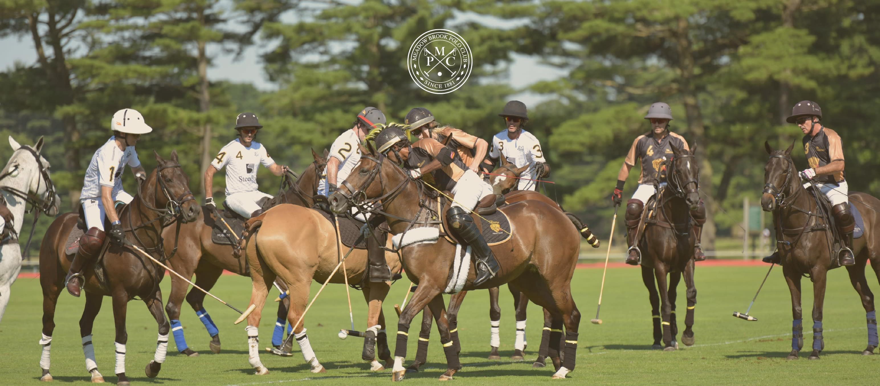 Meadow Brook Polo Club | Old Westbury, NY 11568