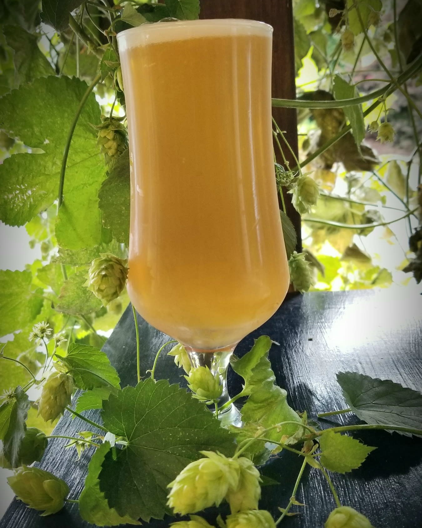 Beer Justice Brewing | Arcade, NY 14009