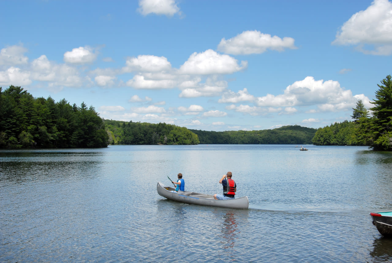 Birding with Pride | Grafton, NY 12082