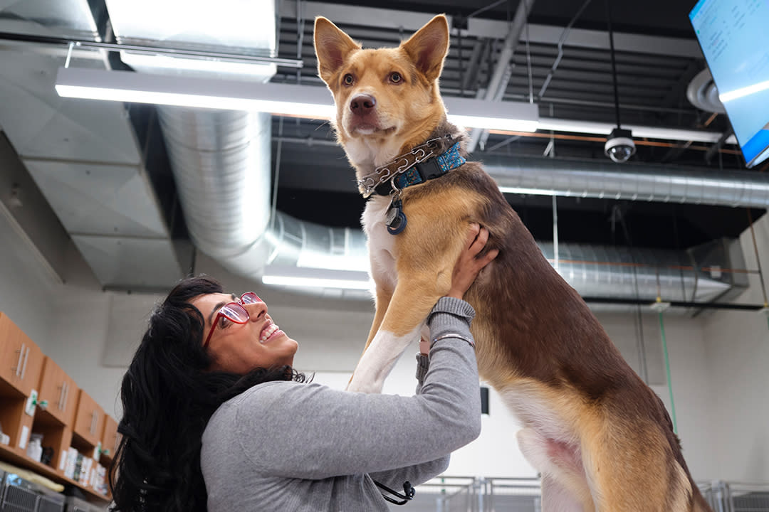 Veterinary Emergency Group