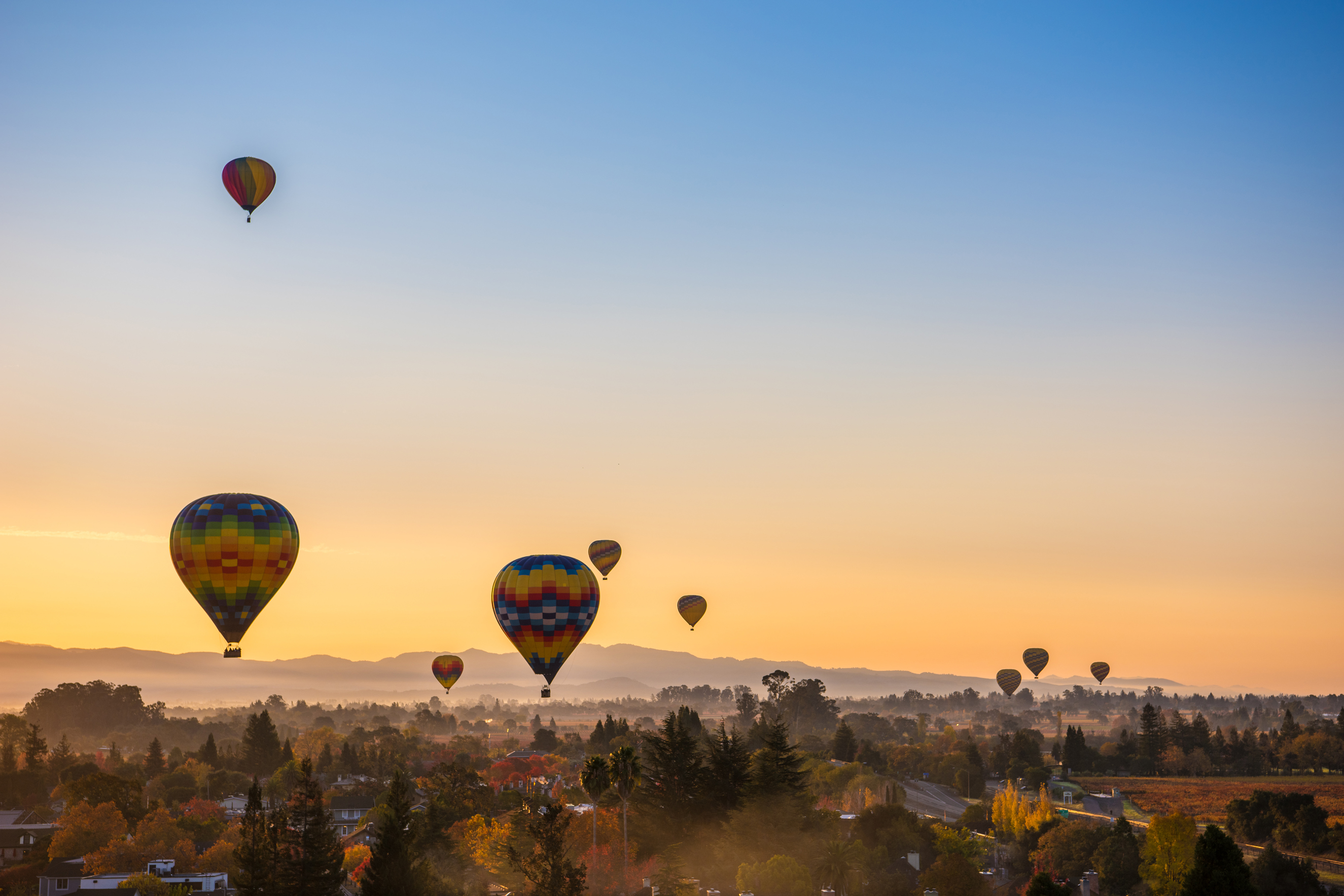 Napa Valley Zoom Backgrounds for Your Virtual Meetings